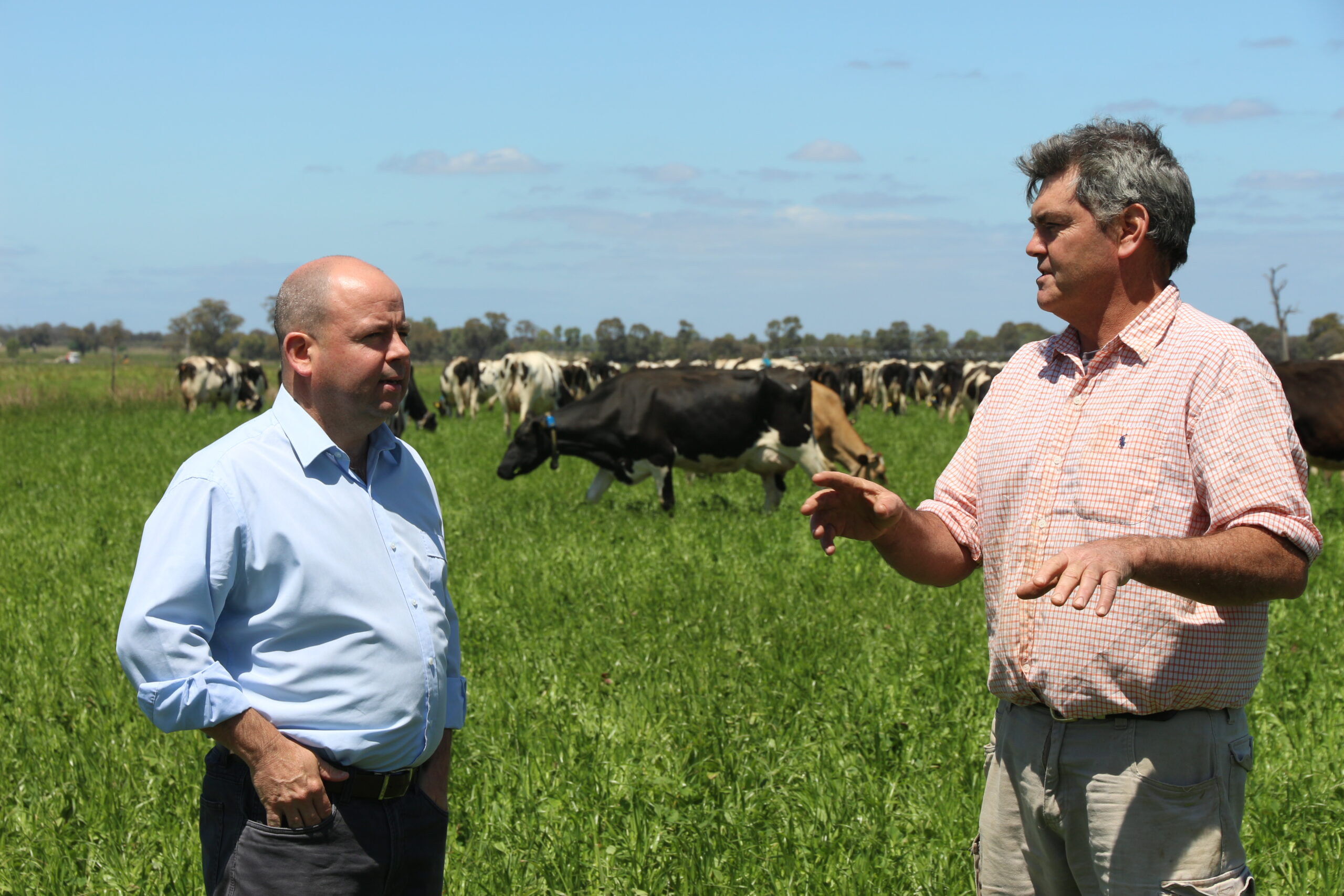 Media Releases - Sam Birrell